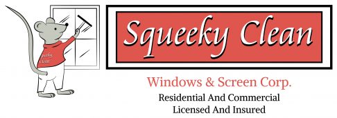 Home - Squeeky Clean