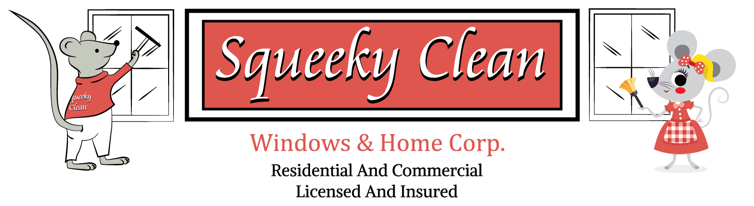 Contact - Squeeky Clean